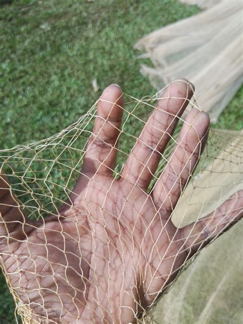 Mathisha Nimsara Mayadunne