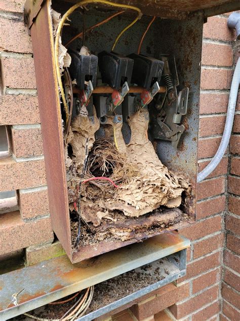 Yeah Just Reuse The Disconnects Salesman Rhvac