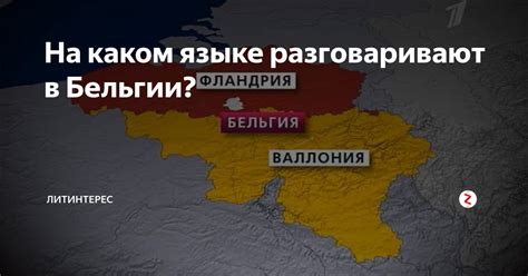 На каком языке разговаривают в Бельгии ЛИТИНТЕРЕС Дзен