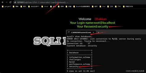 网络安全05 Sql Labs靶场全网最详细总结sql注入靶场 Csdn博客