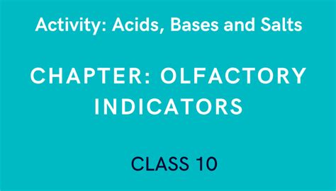 Visualizing Magnetic Field In Force Class 8 Science Experiment