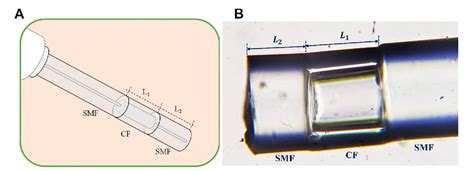 Figure 1 From Ultra Long Range Refractive Index Fiber Sensor Semantic