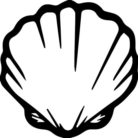 Svg 대양 껍질 조개 여름 무료 Svg 이미지 및 아이콘 Svg Silh
