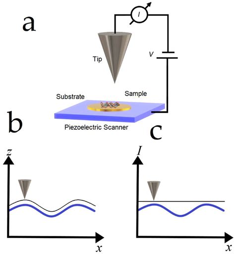 scanning tunneling microscope diagram