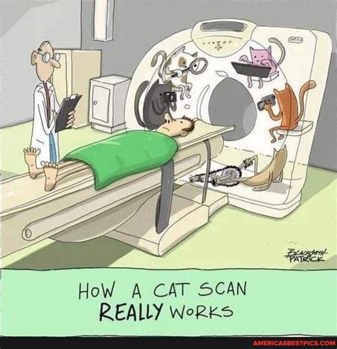 Na How A Cat Scan Really Works Americas Best Pics And Videos