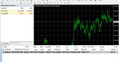 JotMyNotes MT Leverage Margin Balance Equity Free Margin