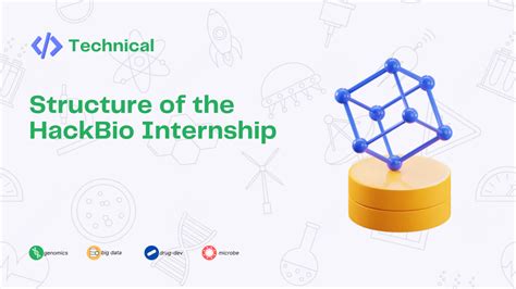 understanding the structure of the hackbio internship