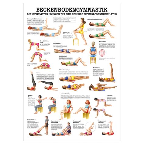 Mini Poster Pelvic Floor Exercises L X W 34x24 Cm Buy Online Sport Tec