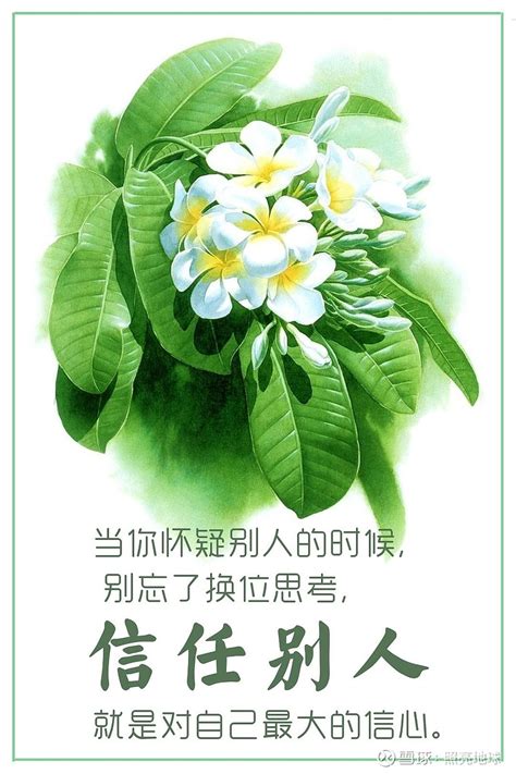 释迦牟尼都做不到的四件事有一弟子问释迦牟尼佛您既神通又慈悲为何还有人受苦释迦摩尼佛答曰我虽有宇宙最大的神通力 雪球