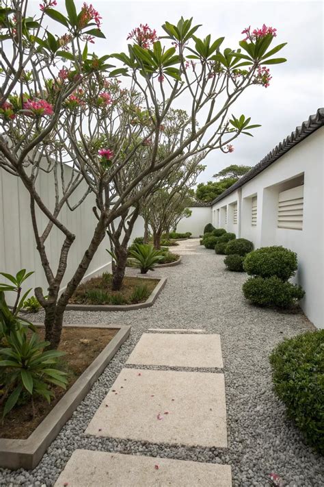 16 Inspiring Frangipani Tree Landscaping Ideas