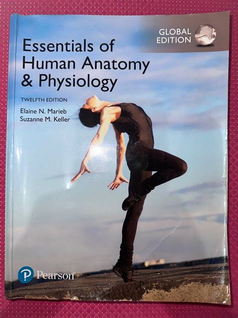 Essentials Of Human Anatomy And Pathophysiology 12th Edition Marieb