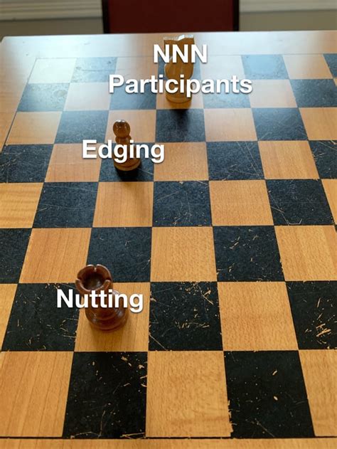 Chess Meme Rnonutnovember