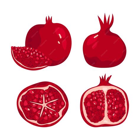Premium Vector Set Of Pomegranate Fruits Whole And Pieces With Juicy