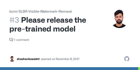 Please Release The Pre Trained Model Issue Bcmi Slbr Visible Watermark Removal Github