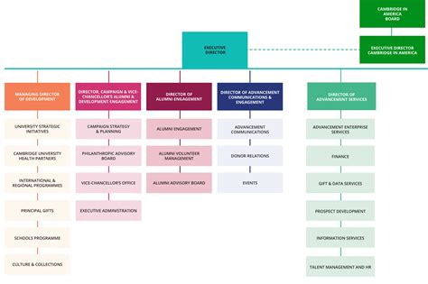 Functional Organisation Structure Support Cambridge