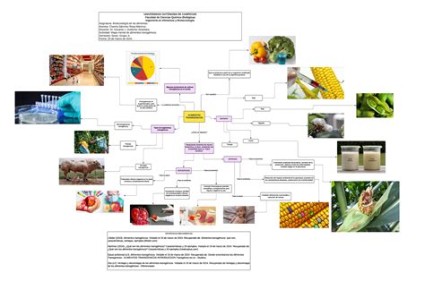 Mapa Mental Alimentos Transgénicos Universidad AutÓnoma De Campeche