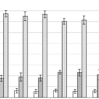 B Sex Differences In The Fiber Type Composition Of The Extensor Download Scientific Diagram