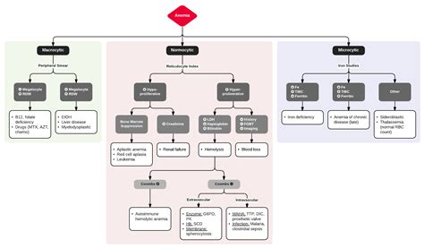Anemia Ddx Of Rcmcim