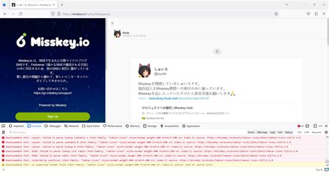 Console Log Has Downloadable Fonts Errors · Issue 118081 · Webcompatweb Bugs