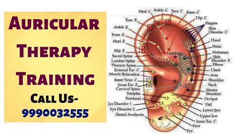 Difference Between Ear Training And Aural Training Fessbuzz