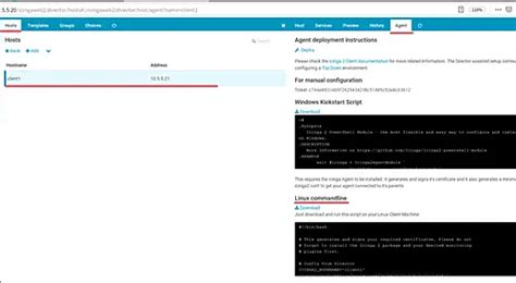 How To Add Hosts To Icinga2 Using The Icinga Director