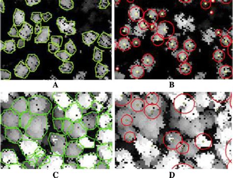 Comparisons Of Tree Segmentation Between Manual Operation And Treevaw