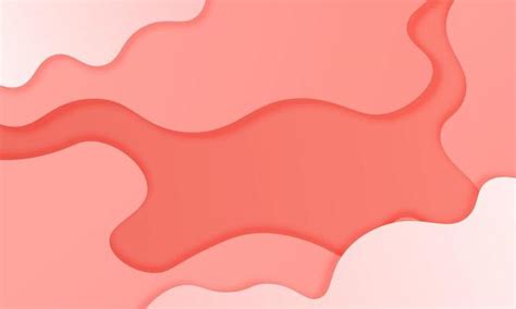 Lipid Bilayer Vector Art Icons And Graphics For Free Download