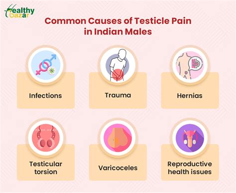Empowering And Understanding Testicular Pain In Indian Males