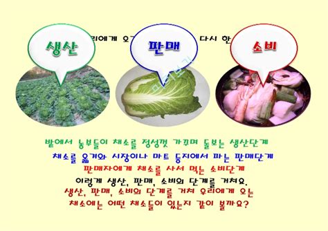 식물이 주는 음식채소음식 이야기나누기 상호작용 유아교육사범교육레포트