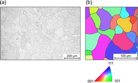 Microstructure Of The Pure Iron A Sem Image After Etching And B