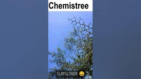 Chemistree Youtube