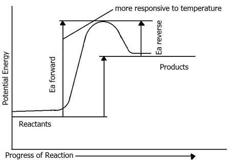 Chem 14 Learnfast Review And Tutorial Hub