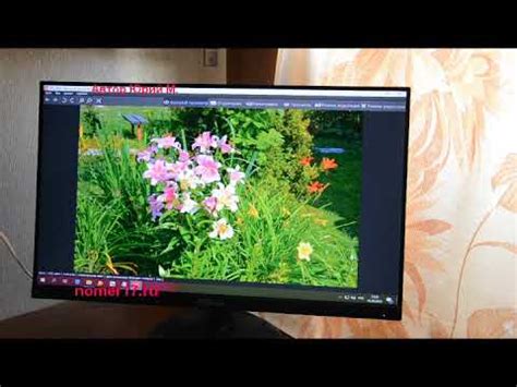 Игровой монитор ASUS VP249 QGR - YouTube