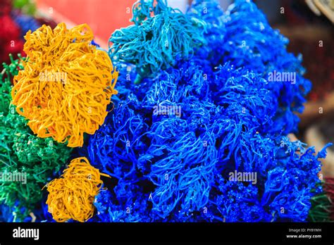 Blue Green Yellow Colored Dried Algae Design Elements Seaweed Farming
