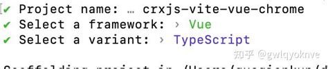 使用 Crxjs、vite、typescript、vue3、pinia、less、naive Ui 开发 Chrome 浏览器插件——自带热