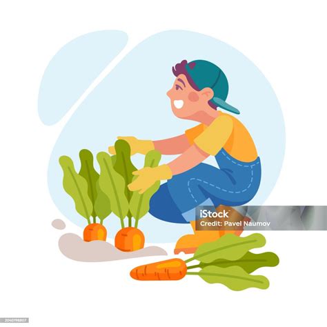 수확하는 남자 문자 에서 모자 따기 익은 당근 작물 벡터 일러스트 계절에 대한 스톡 벡터 아트 및 기타 이미지 계절 남자 농부 Istock