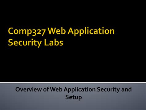 Web Application Security Overview And Setup