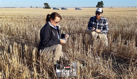 Mouse Activity Reported As High In Several Growing Regions With