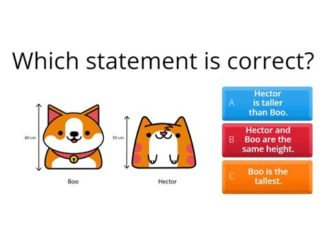Height And Length Quiz
