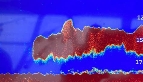 Researchers Shocked As Babe Of Mackerel Takes Shape Of Megalodon