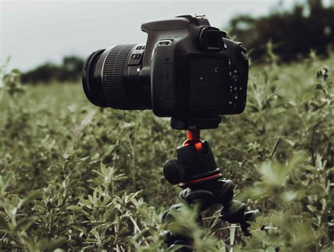 Macro Photography Equipment 11 Essential Gear Items