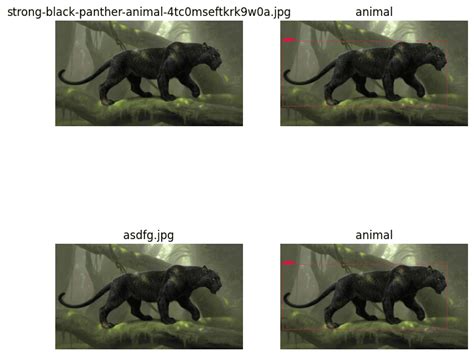 How I Did Automatic Image Labeling Using Grounding Dino Ai Digitalnews