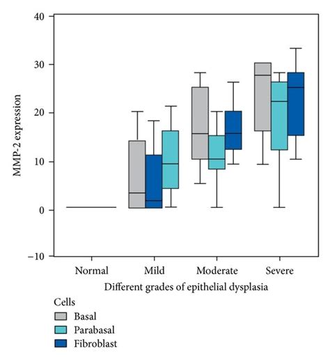 Box Plot Comparing The Median Measure Of Expression Across Different