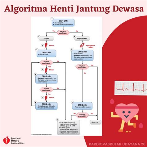 Udayana University Cardiology And Vascular Specialist Study Program Faculty Of Medicine