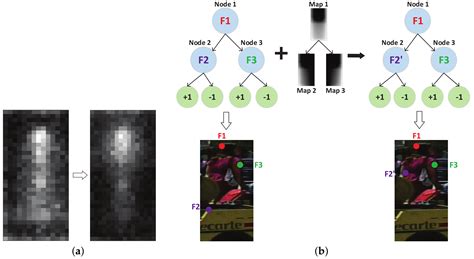 an occlusion robust feature selection framework in pedestrian detection
