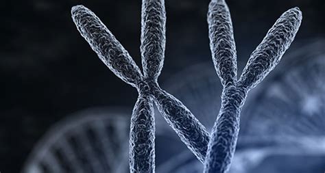 The Science Behind Sexual Orientation Mambaonline Lgbtq South Africa Online