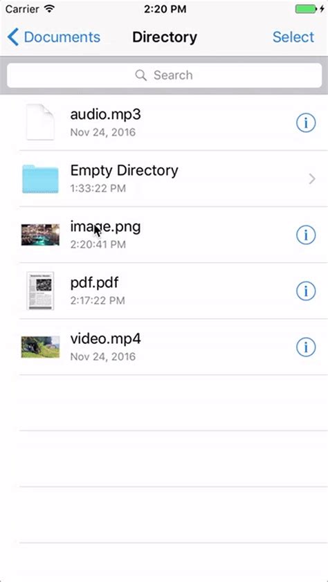上的fileexplorer Cocoapods 中文