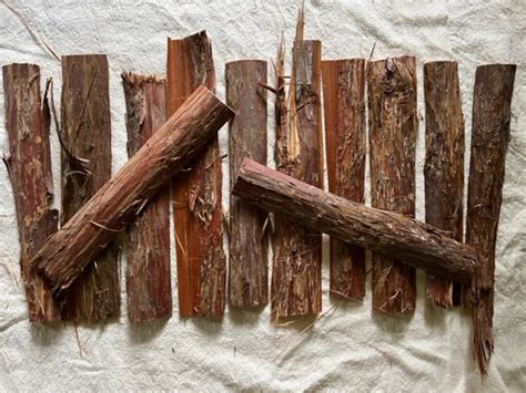 Louisiana Bald Cypress Bark Rustic Cypress Tree Bark For Crafting Craft Cypress Bark Rustic