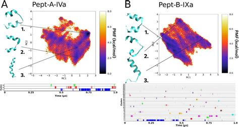 reweighted free energy landscape plots of a pept a iva 3 clusters