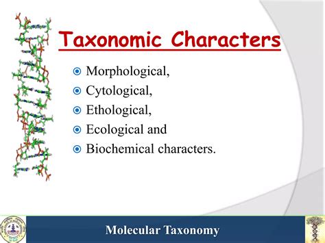 Molecular Taxonomy Pptx
